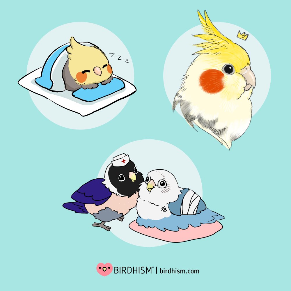 「Just a bit of doodling... 」|Birdhism 💖 Shop Openのイラスト