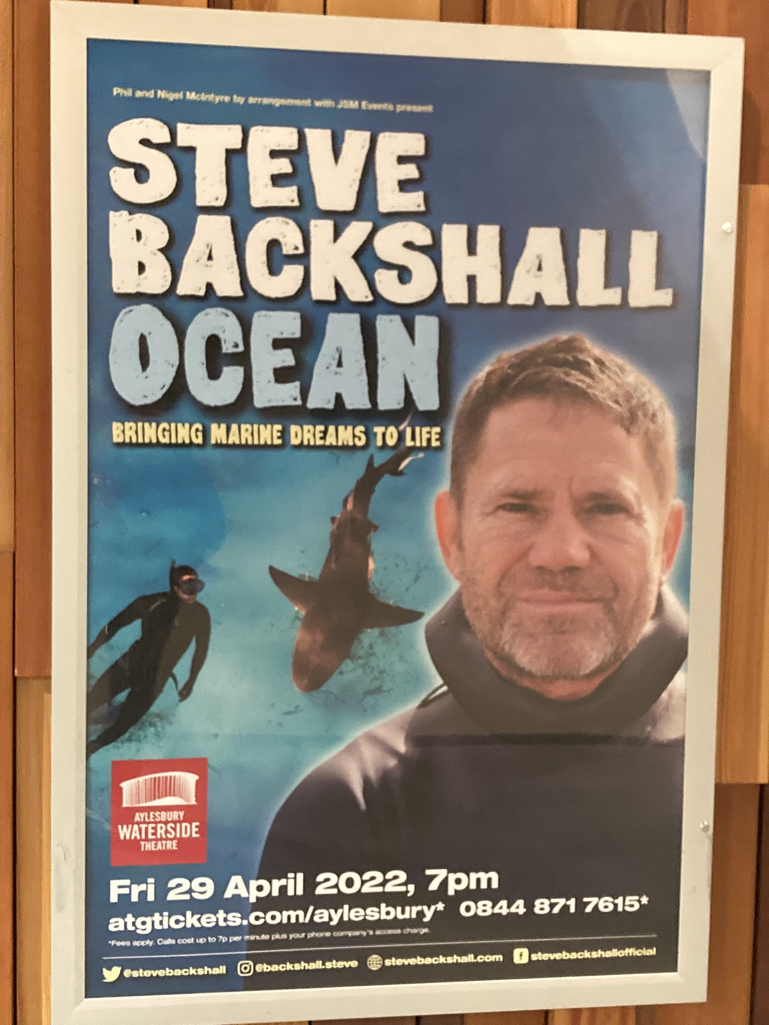 Steve From Full House 2022