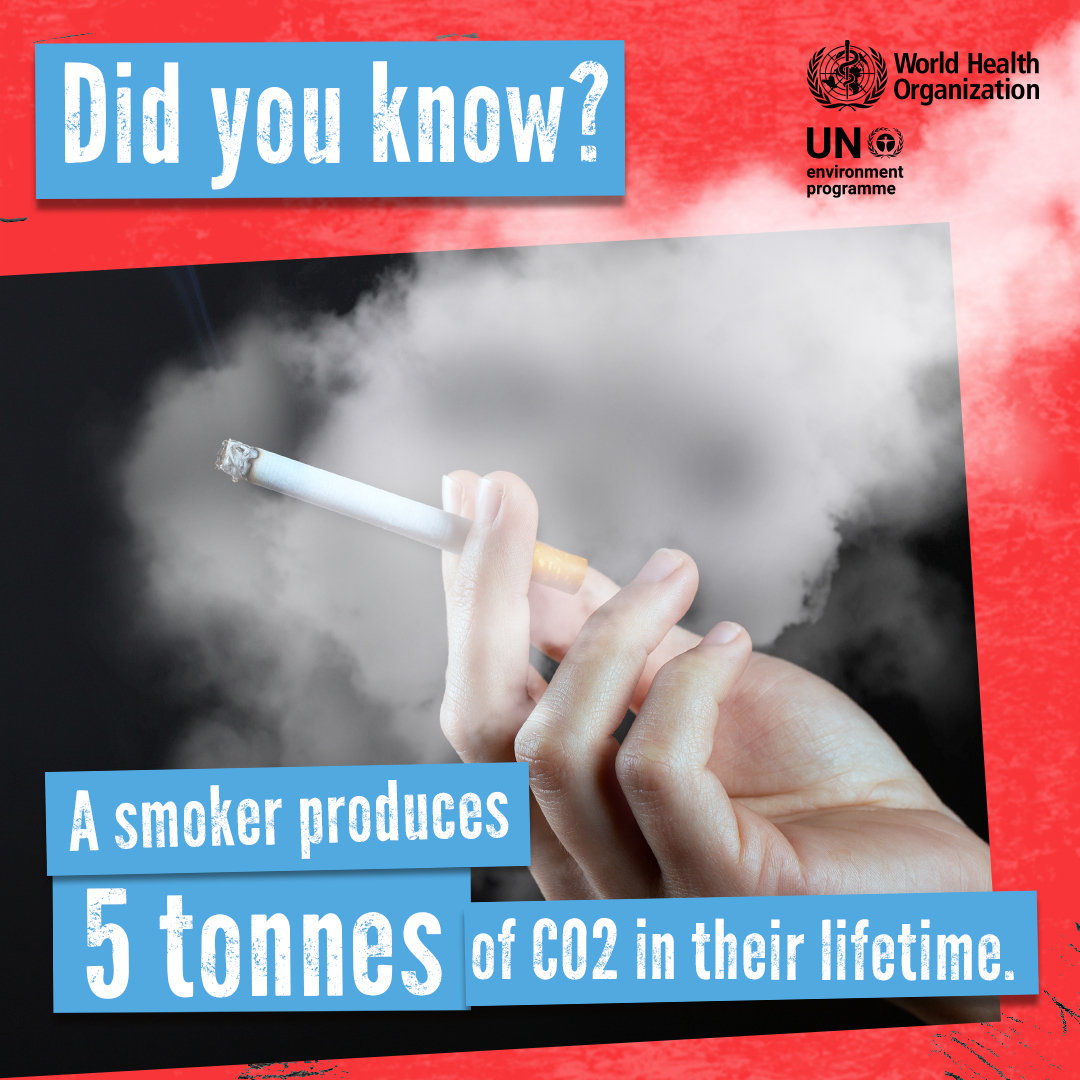 Air Pollution From Smoking Cigarettes