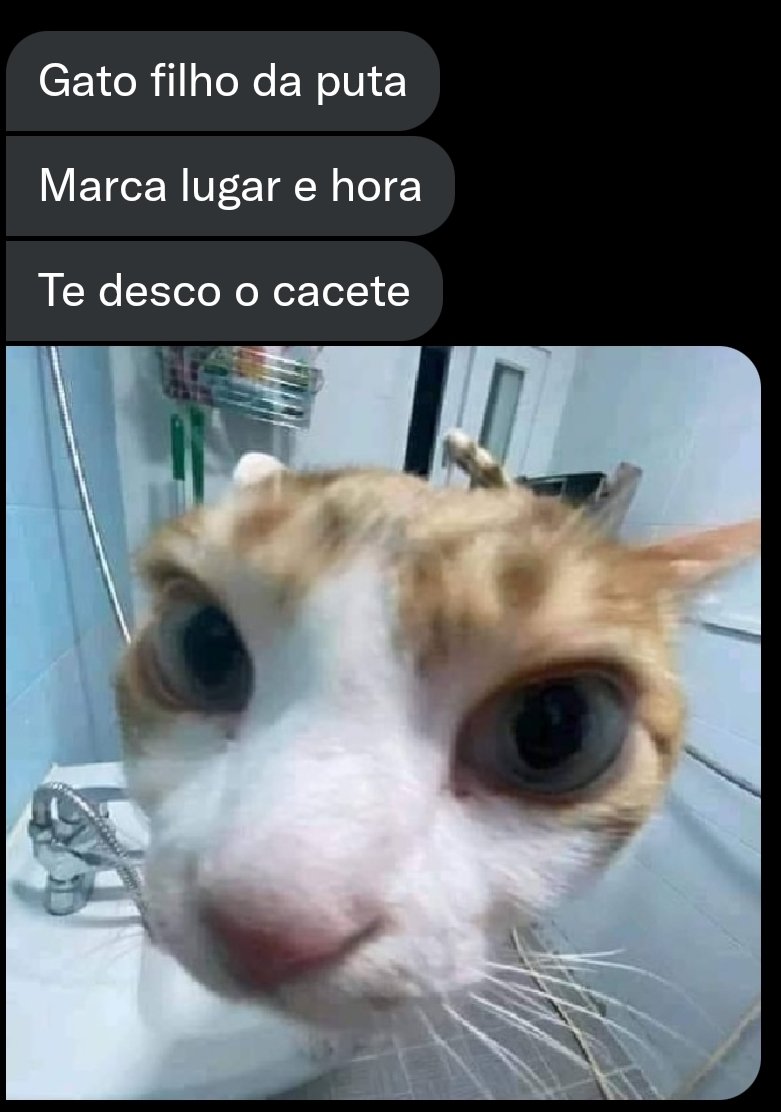 Gato Meme Da Internet 35 Already Famous Internet Pics Get Transformed