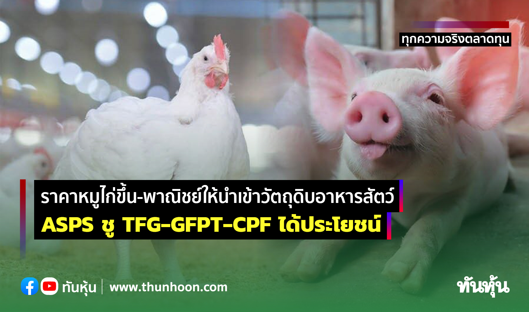 ทันหุ้น on Twitter: "ราคาหมูไก่ขึ้น-พาณิชย์ให้นําเข้าวัตถุดิบอาหารสัตว์ ASPS ชู TFG-GFPT-CPF ได้ ...