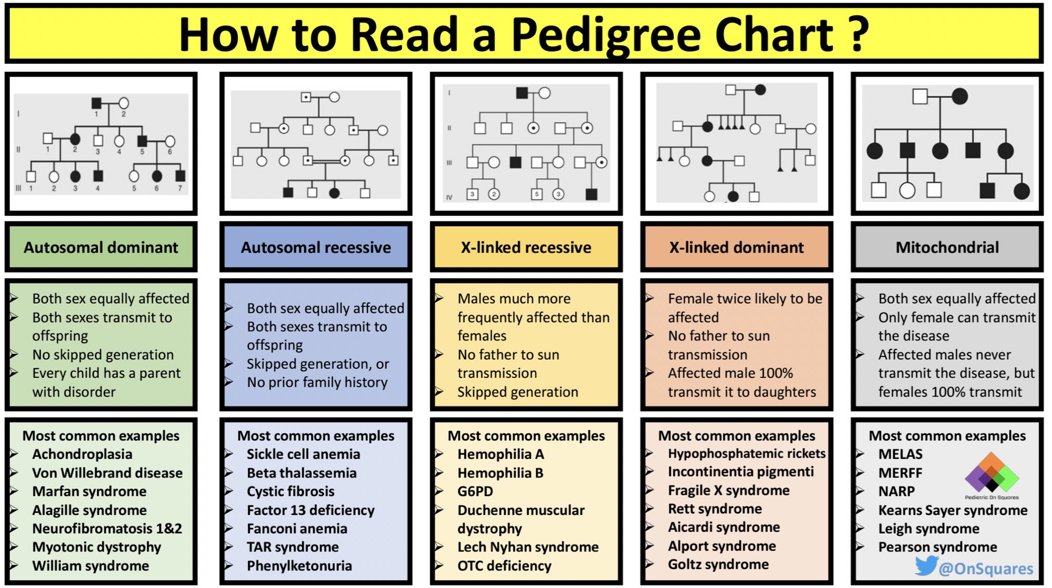 Duchenne Muscular Dystrophy Pedigree Chart