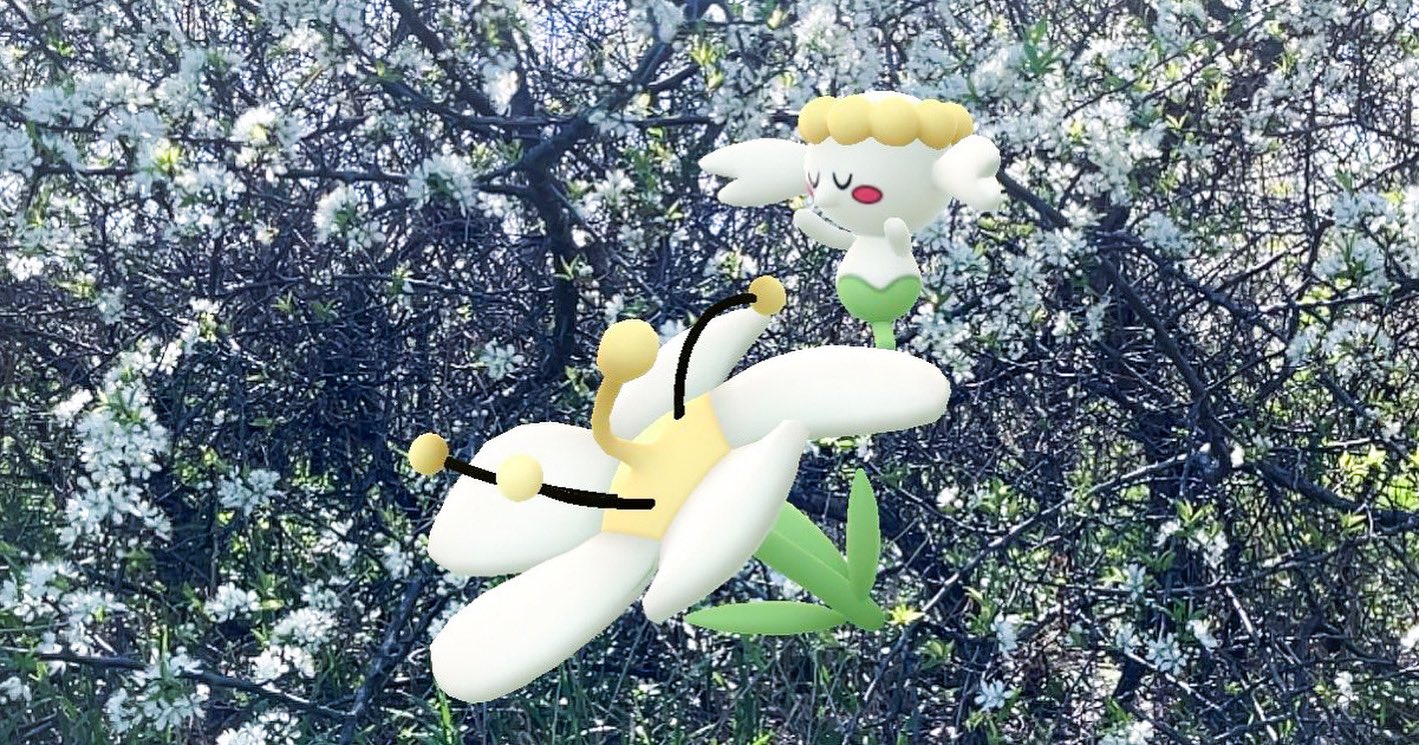 Blue Flabebe Pokemon