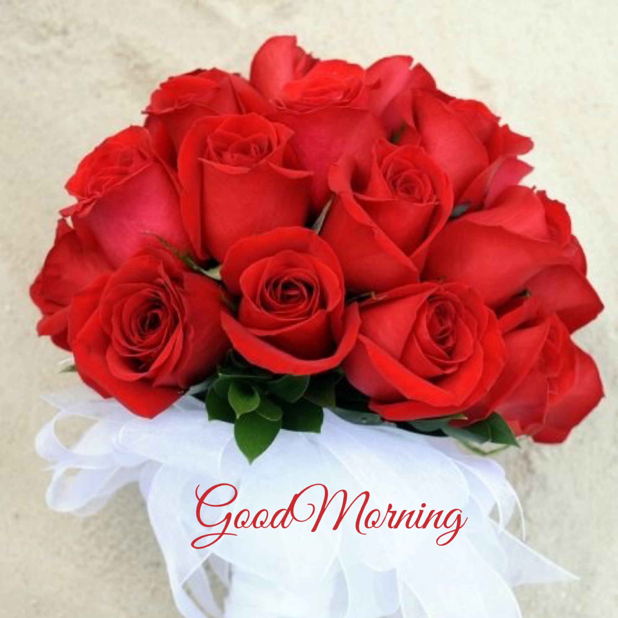 Good Morning Red Roses