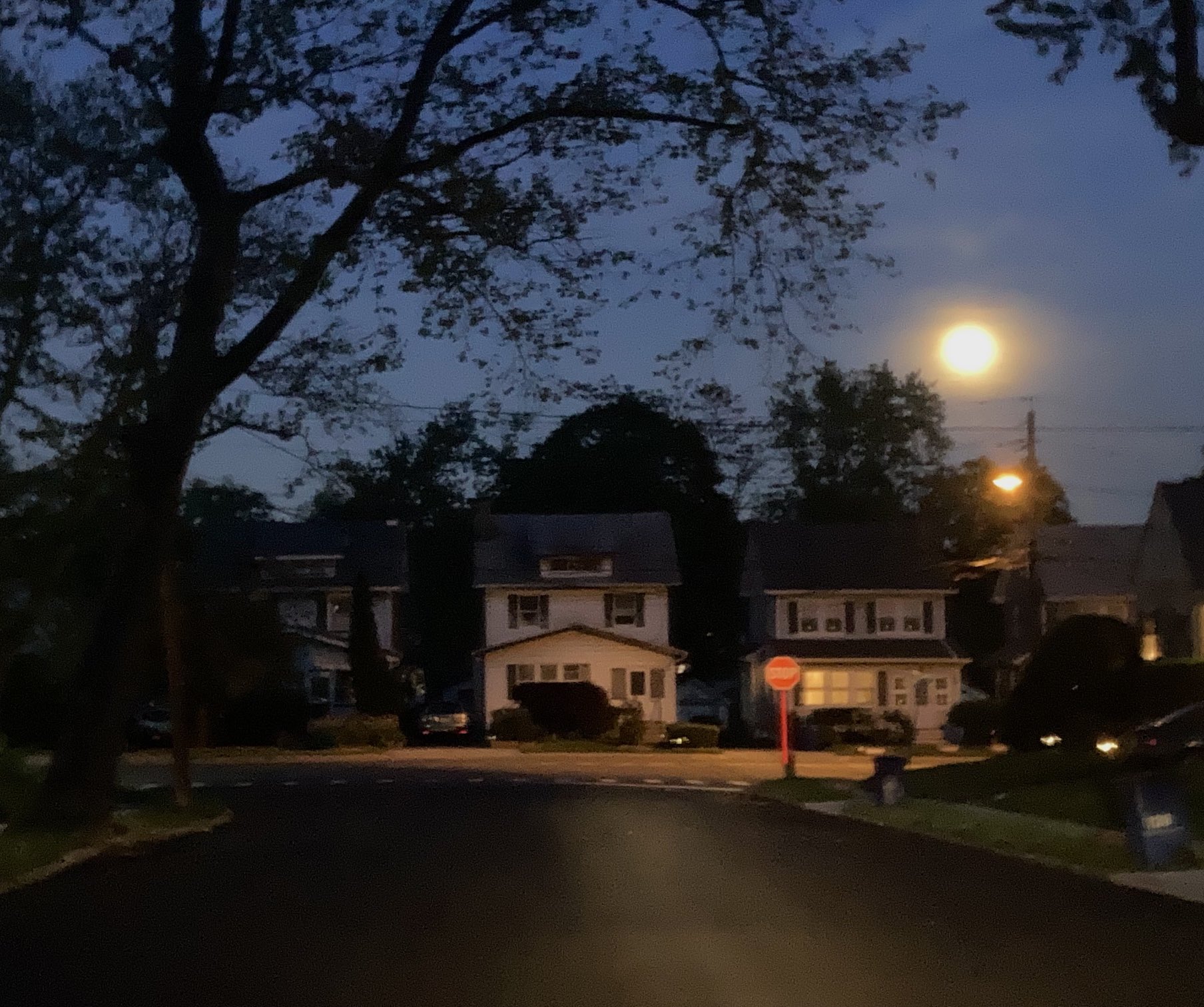 Suburban Neighborhood At Night