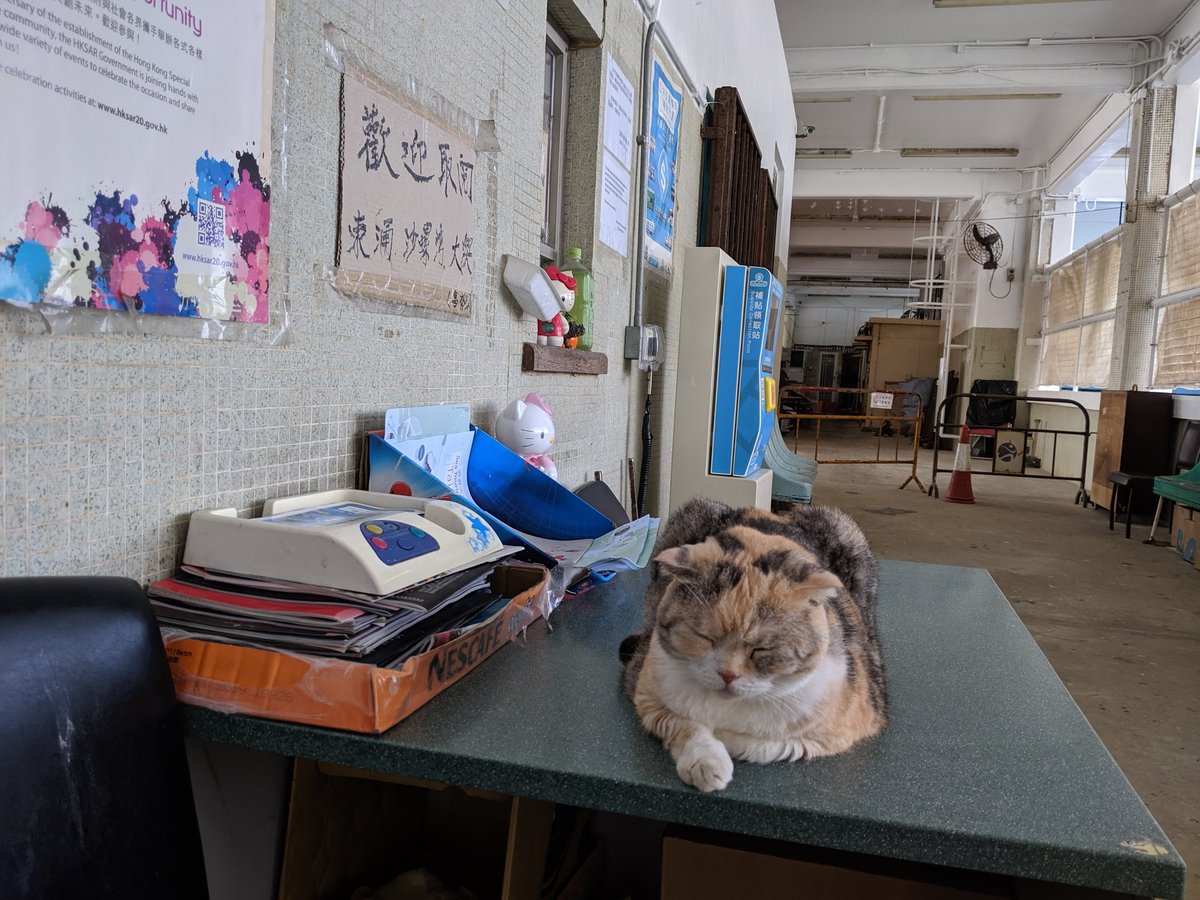 Jules Wang 王竣穎 @pointjules