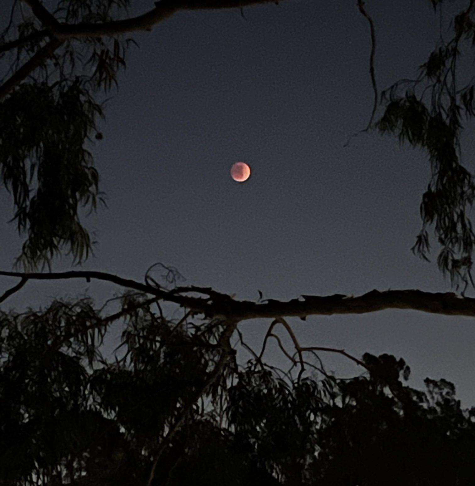 Real Blood Moon 2022