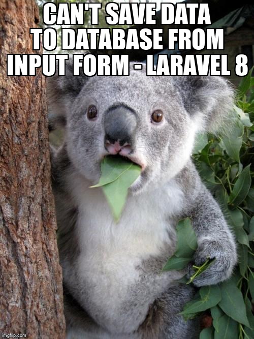 Meme Overflow On Twitter Cant Save Data To Database From Input Form Laravel 8