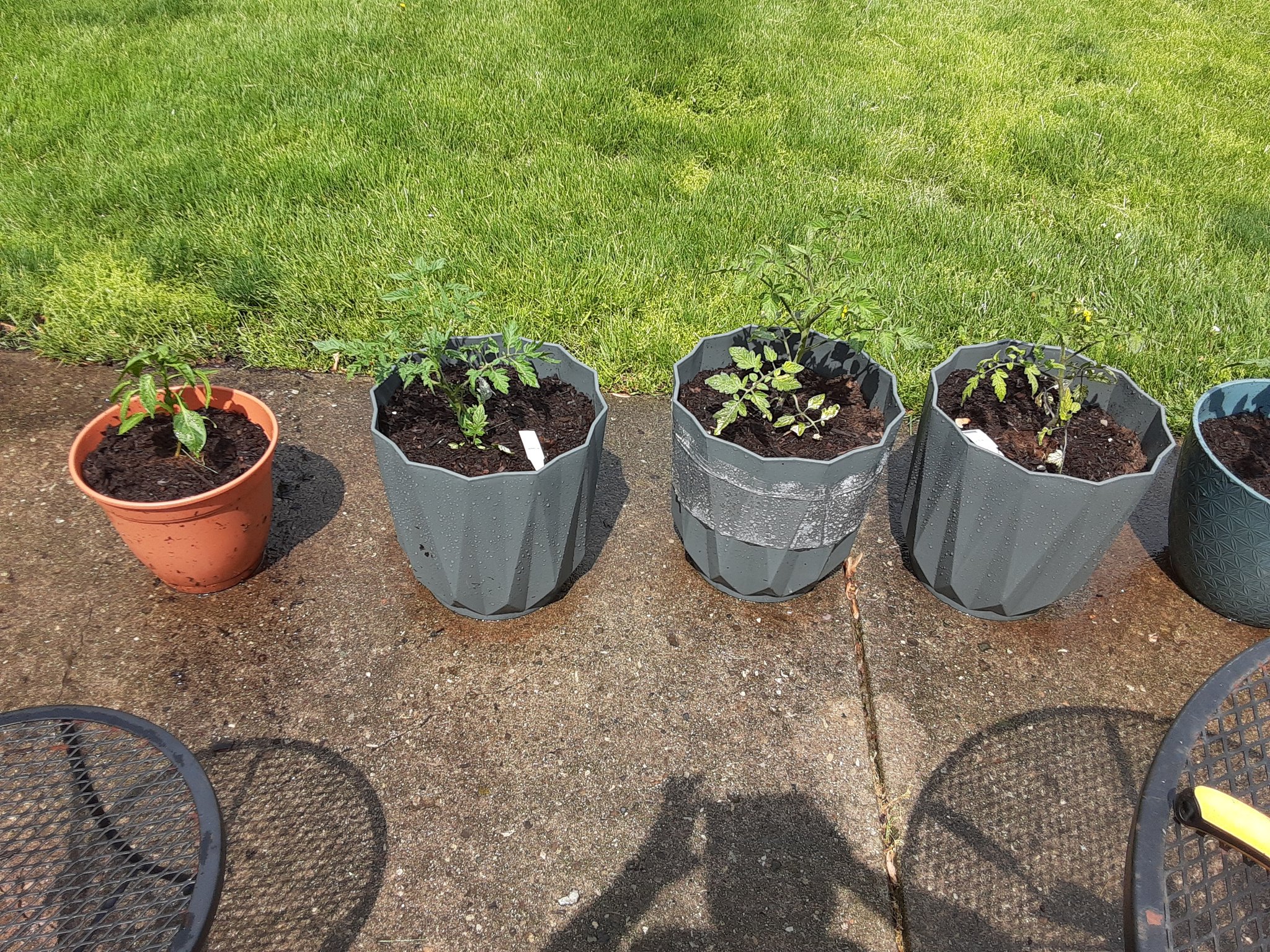 Ruby Owens (@RubyOwe20218592) / Twitter