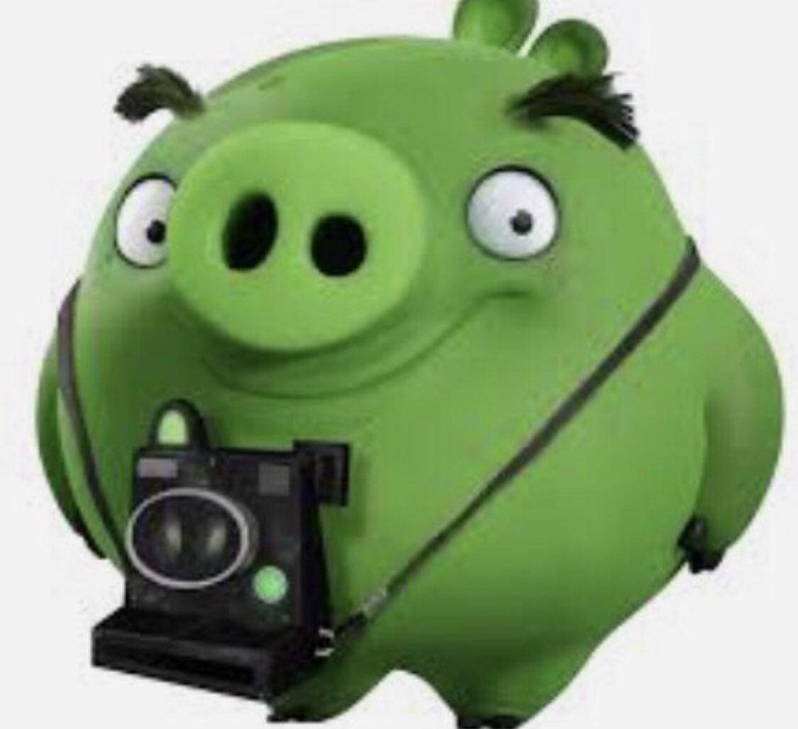 Angry Birds Movie Earl Photog Pig From The Angry Birds Movie On X: