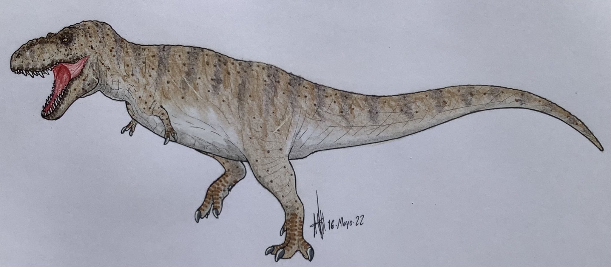 Jurassic Park T Rex Drawings