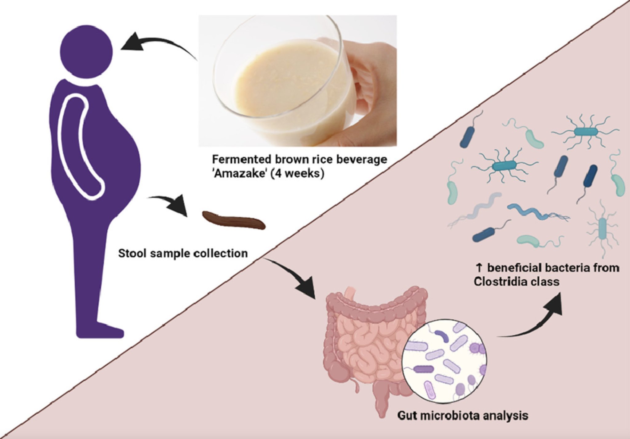 GutMicrobiota Health on Twitter: GutMicrobiota Health on Twitter: