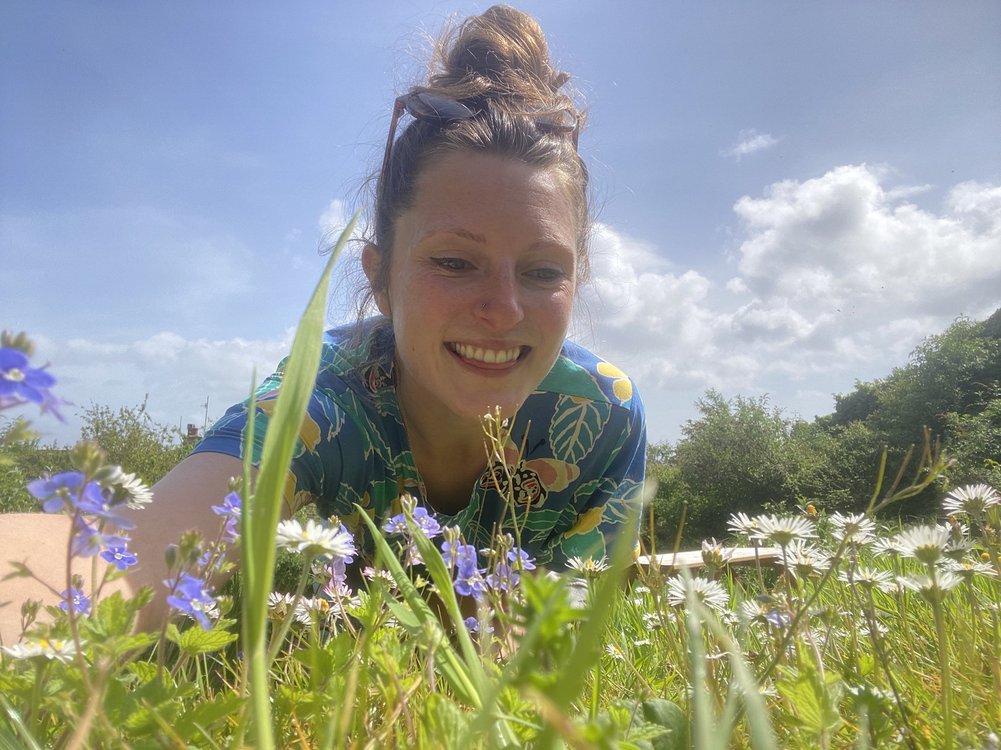 Lucy Lapwing on Twitter: "This weekend I lay in this “messy” un-mown lawn for 20mins and had ...