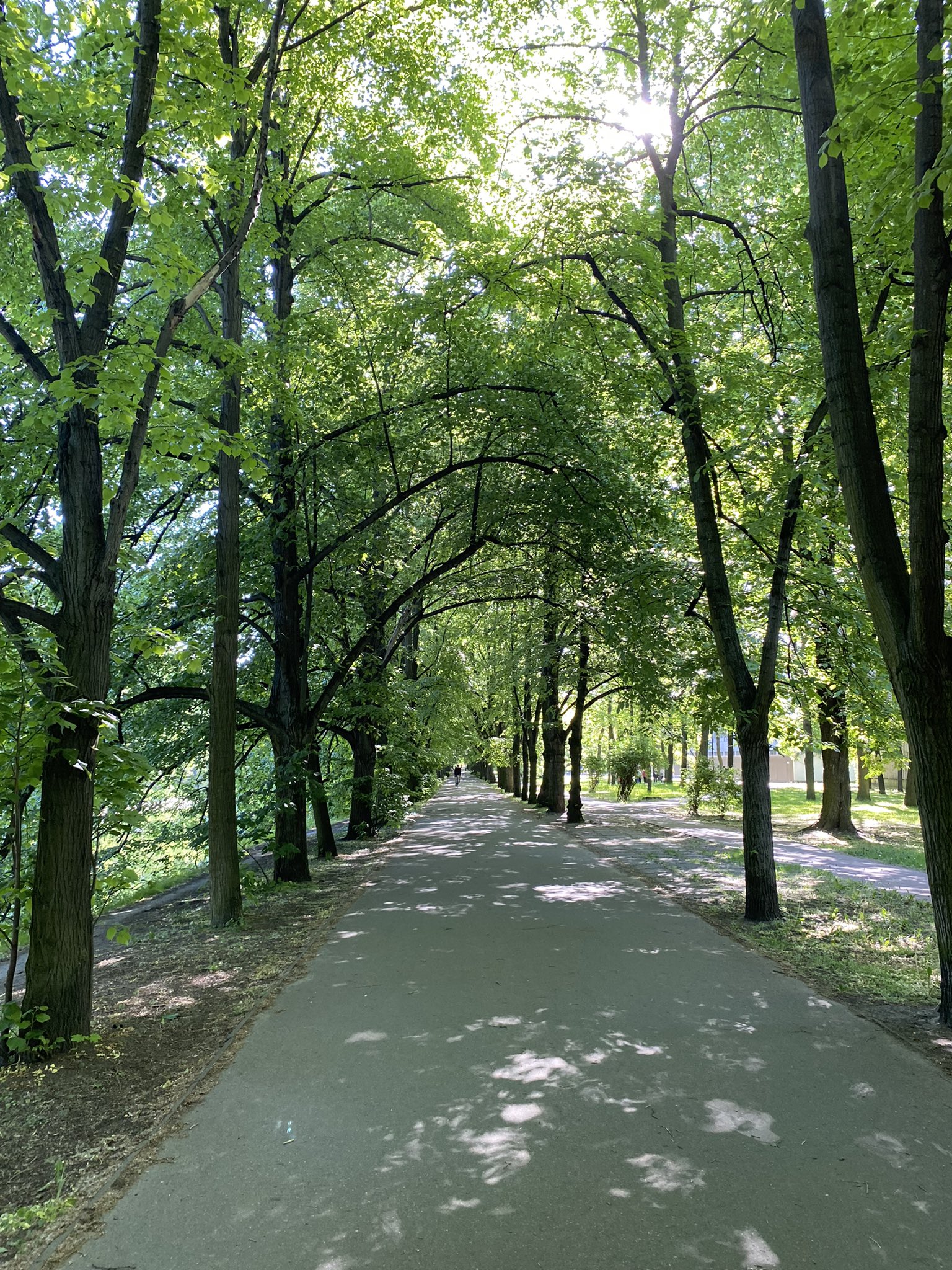 Megan Daly (@MeganLDaly) / Twitter