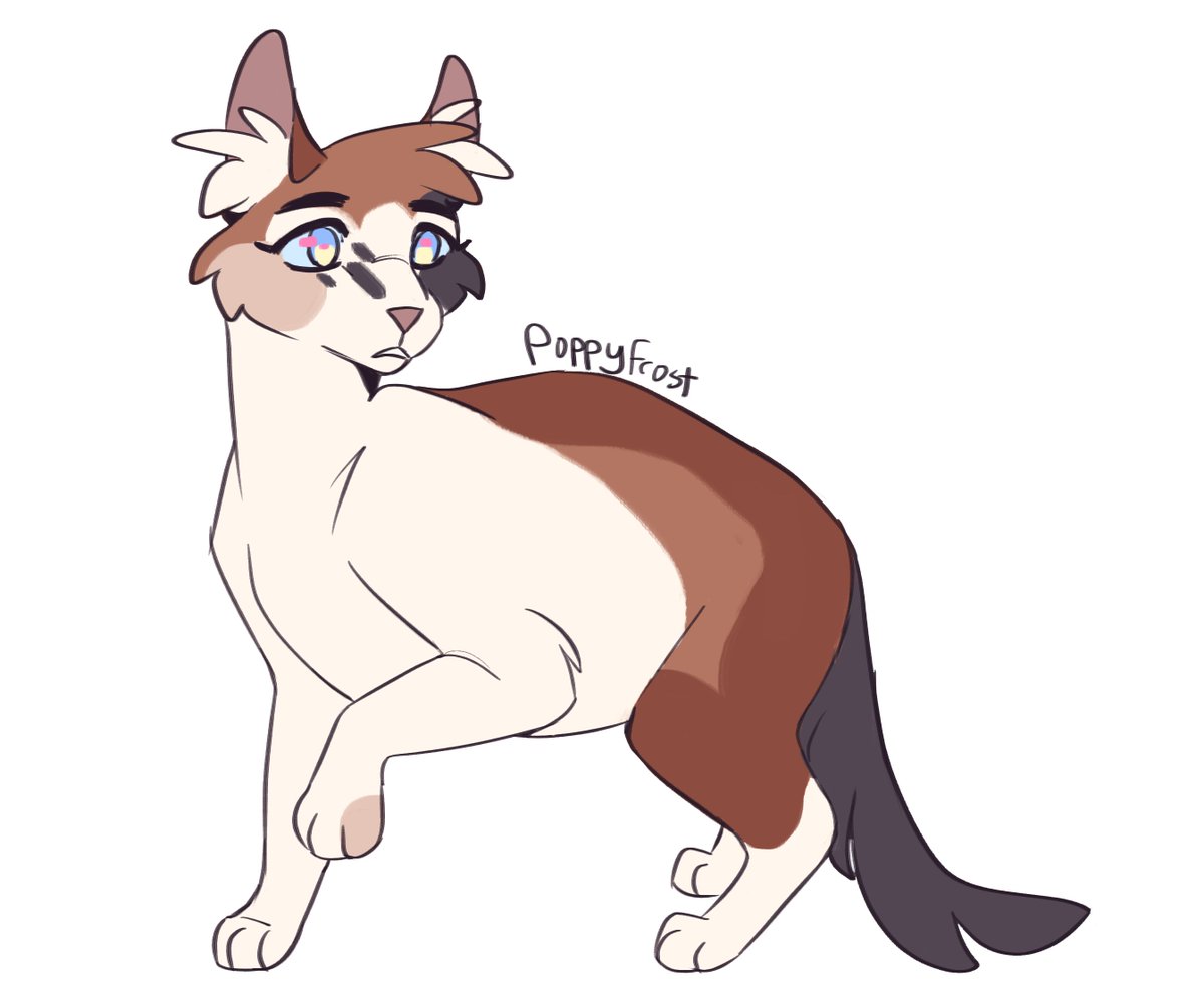 Warrior Cats Poppyfrost