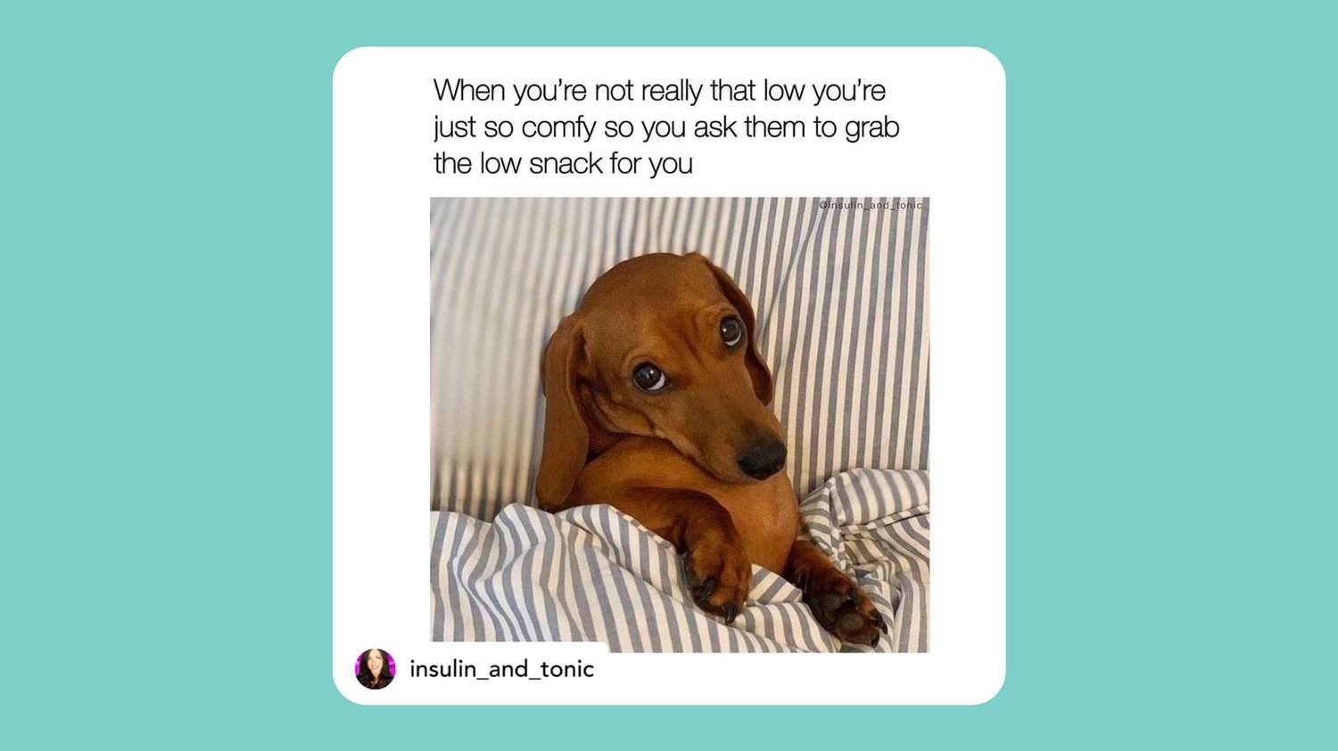 Well Then Meme Dog