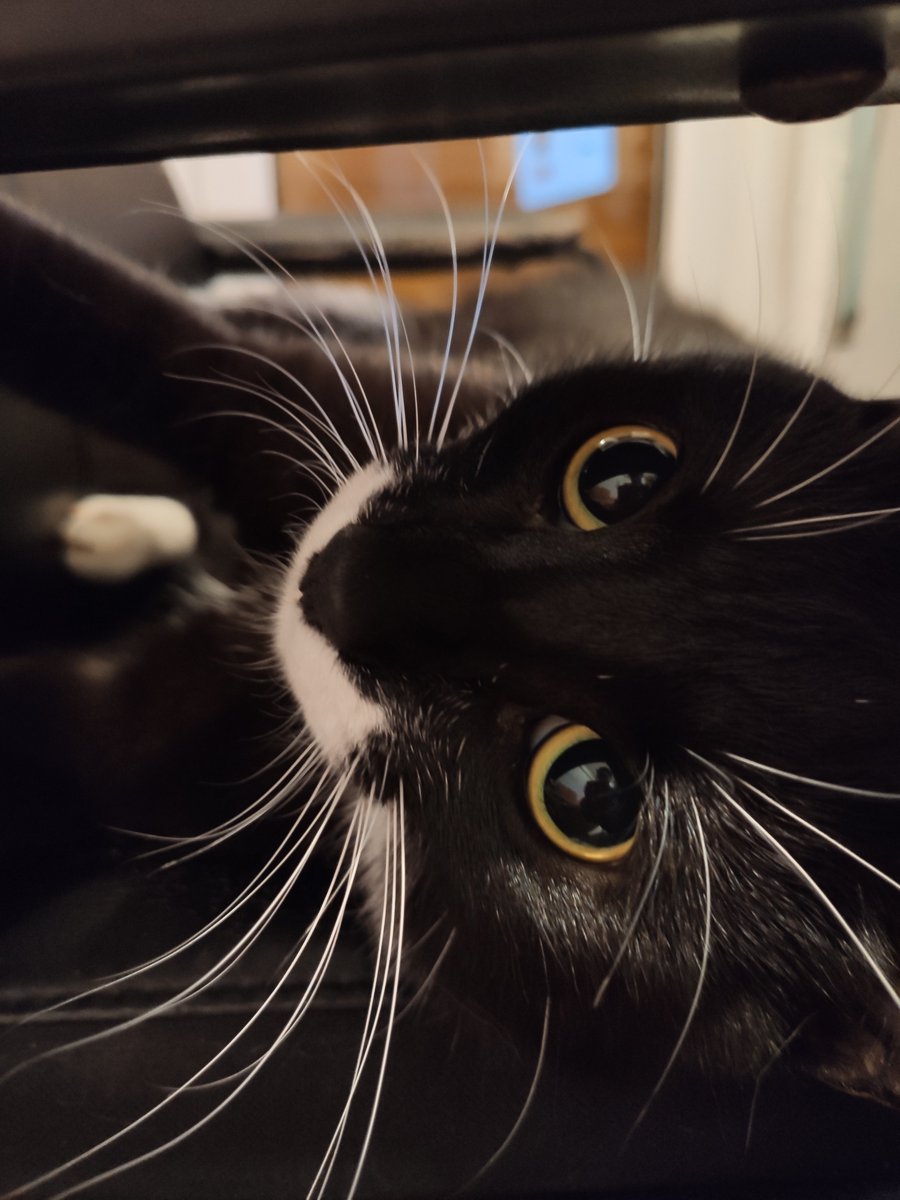 TW Pornstars - Eva_Mli. Twitter. 😻 brrr. 6:00 PM - 21 Jun 2022