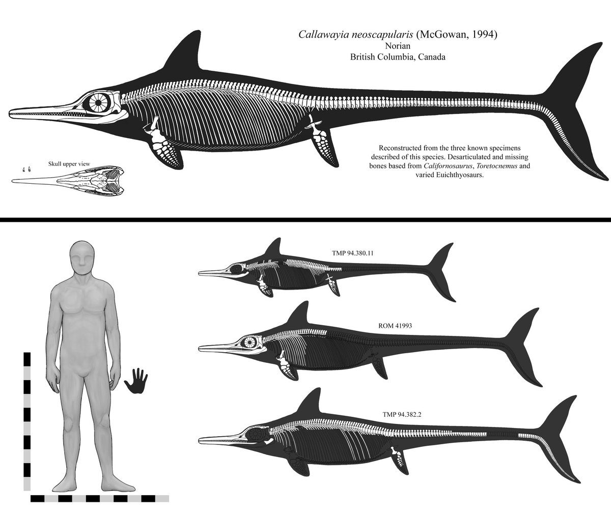 Fabio Alejandro (@FabioAleRomero) さんのイラスト・マンガ作品まとめ (71 件) - Twoucan