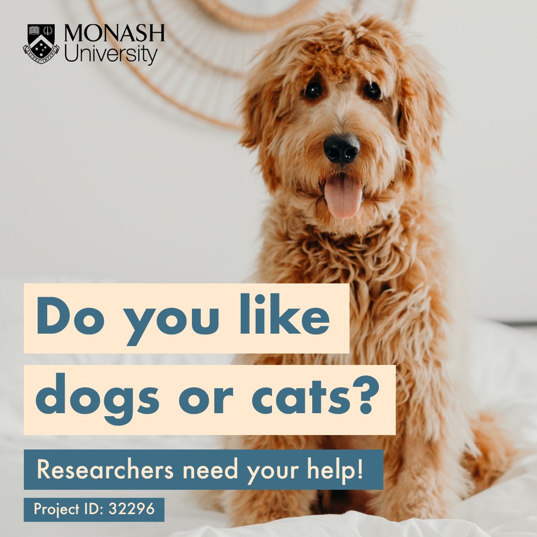 Why Should You Like Dogs