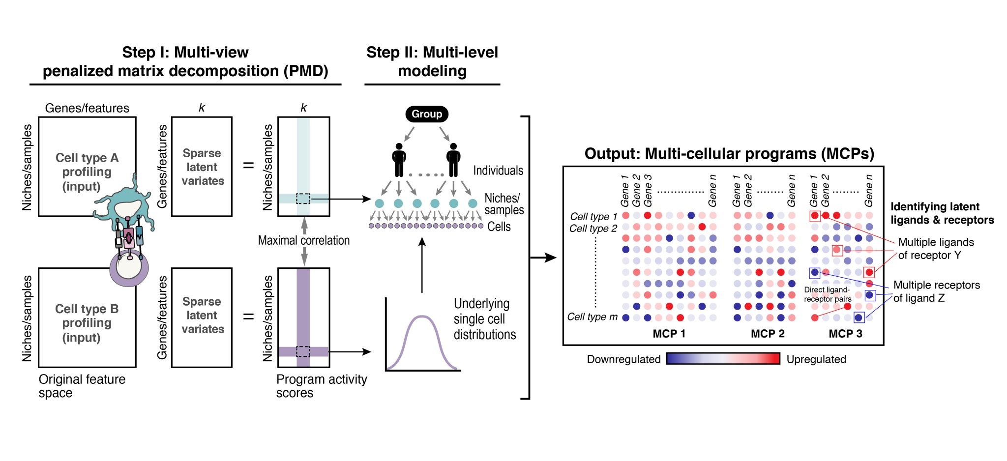 Livnat Jerby on Twitter: "How does DIALOGUE work? Given #singlecell or #SpatialTranscriptomics ...