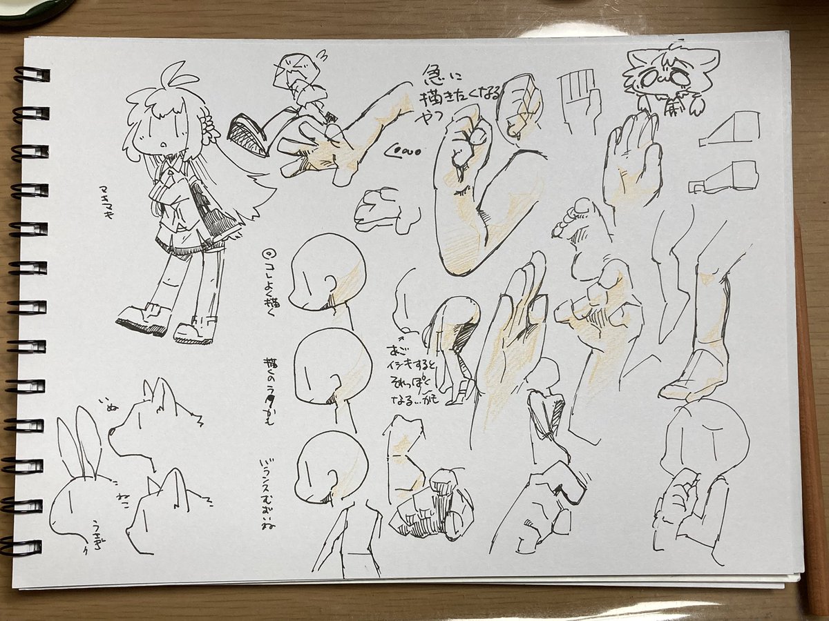 「カキカキ練習カキカキ 」床の間Q C105 (月)西1 “の”17bの漫画