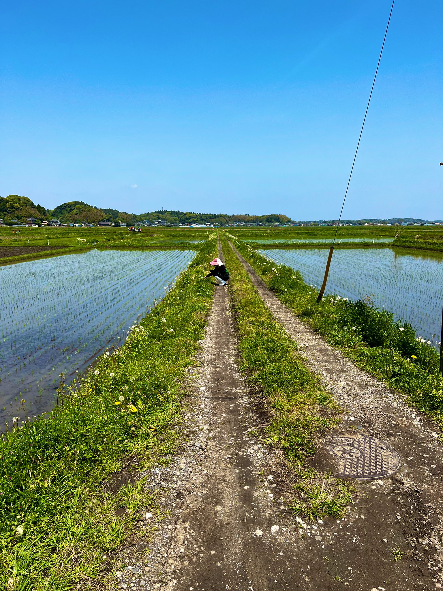 Machico Official on Twitter: "#日本シン人種図鑑📚 リアタイ頂いた皆さま有難うございました！🙇‍♀️🌾🎤🍜 テレ東動画やTVer、paraviでの見逃し配信もあり ...