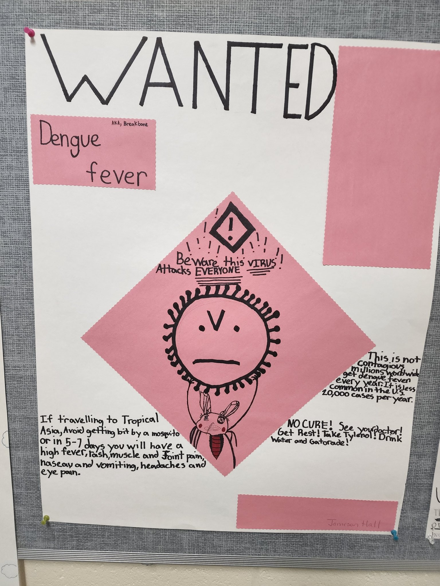 Wanted Poster For School Project