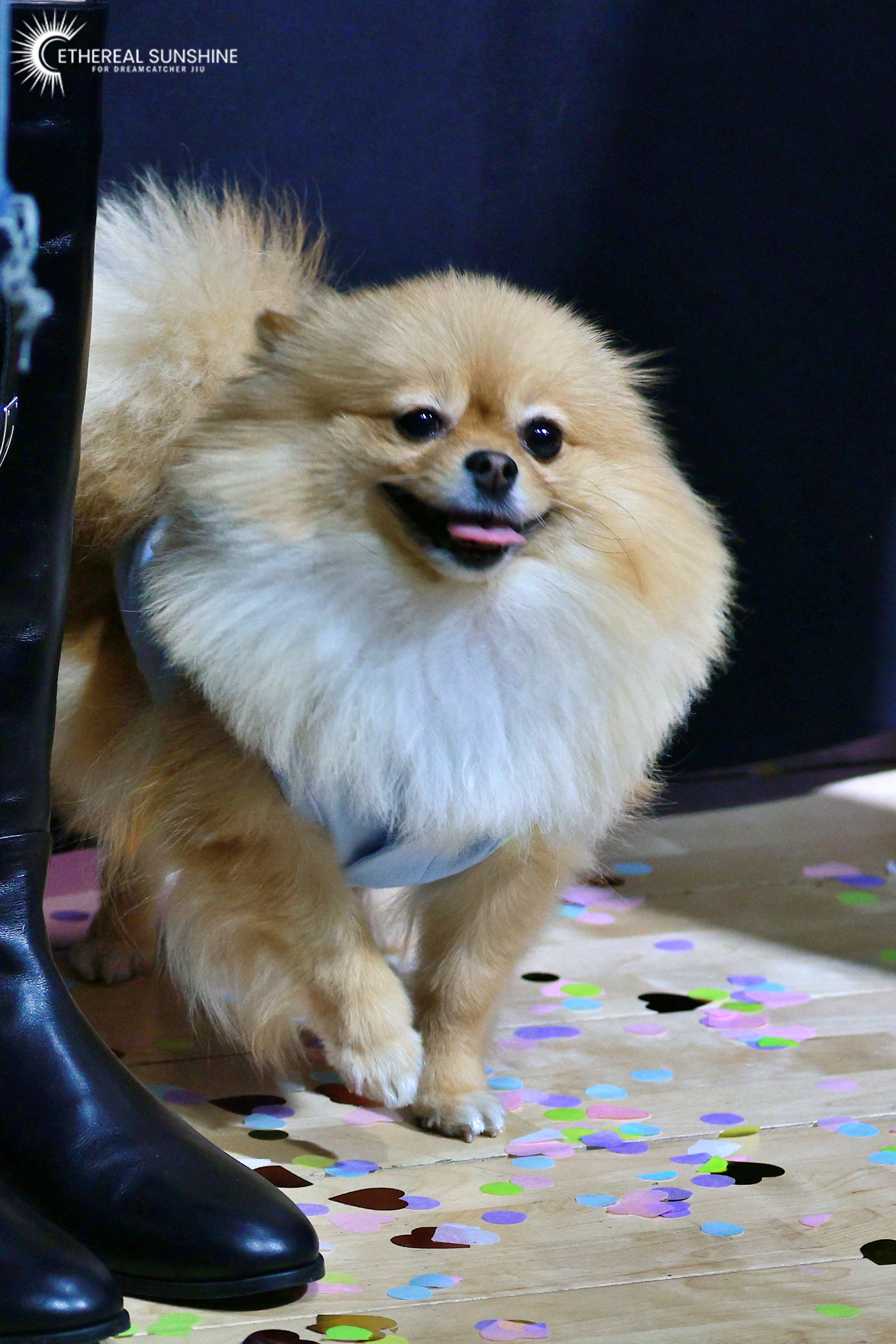 🌱Sua♡⃕JiU🌱DEUKAE 1ST 2ND WIN sua;syntax_error (@KimSuAb0t) / Twitter