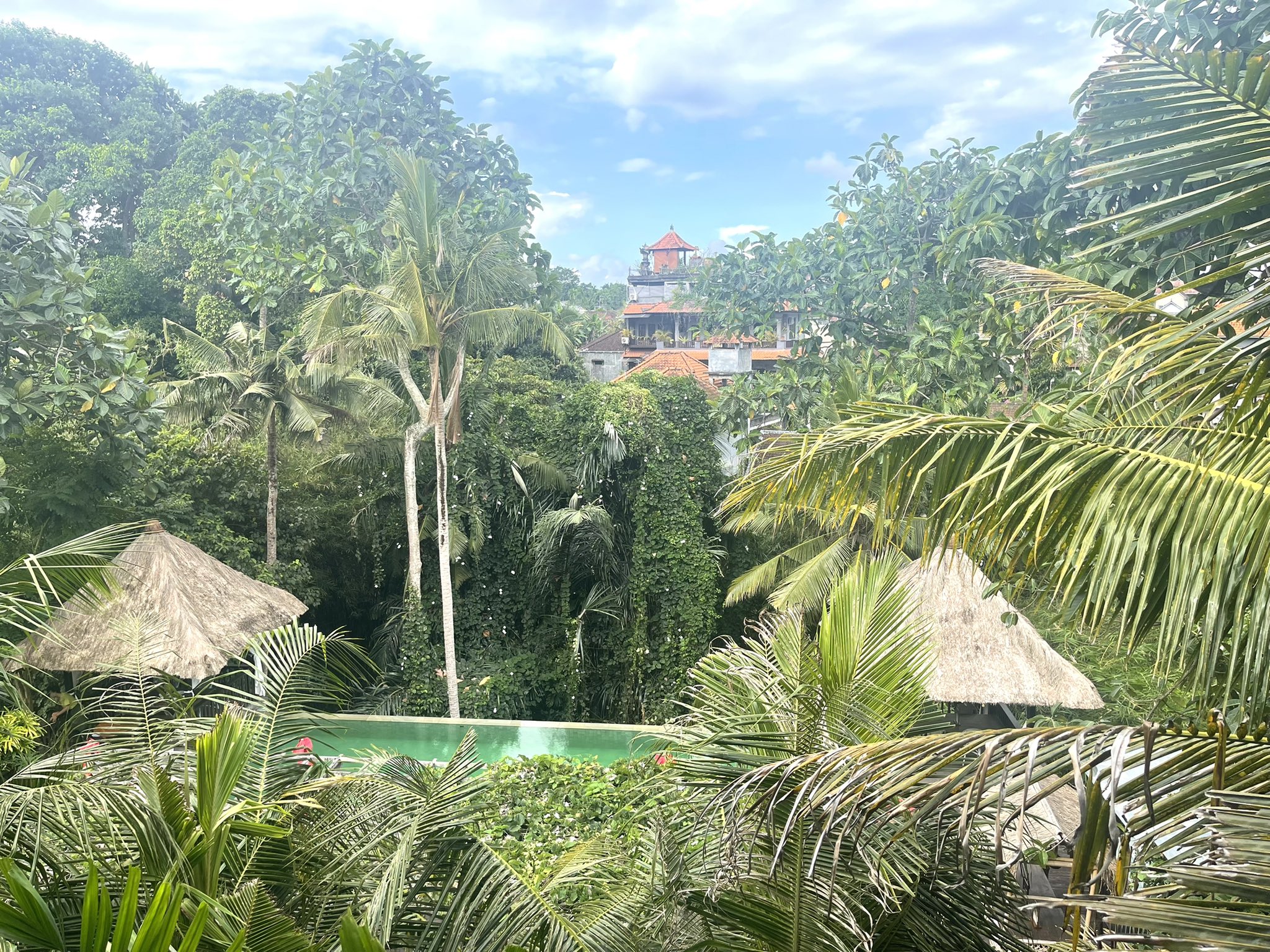 TW Pornstars - Sophia Locke. Twitter. The view from my hotel suite # ...