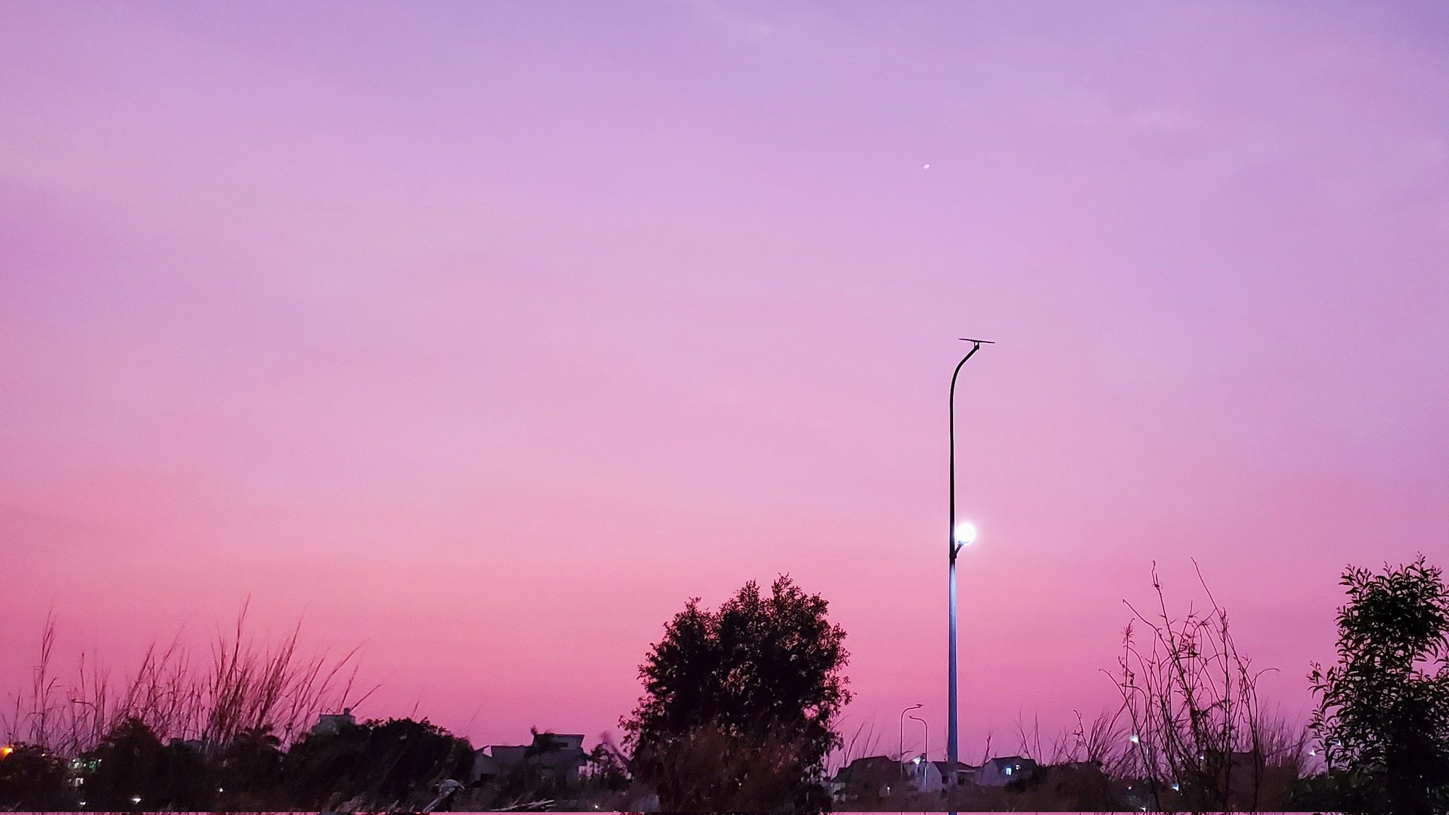 Hot Pink Sunset Wallpaper