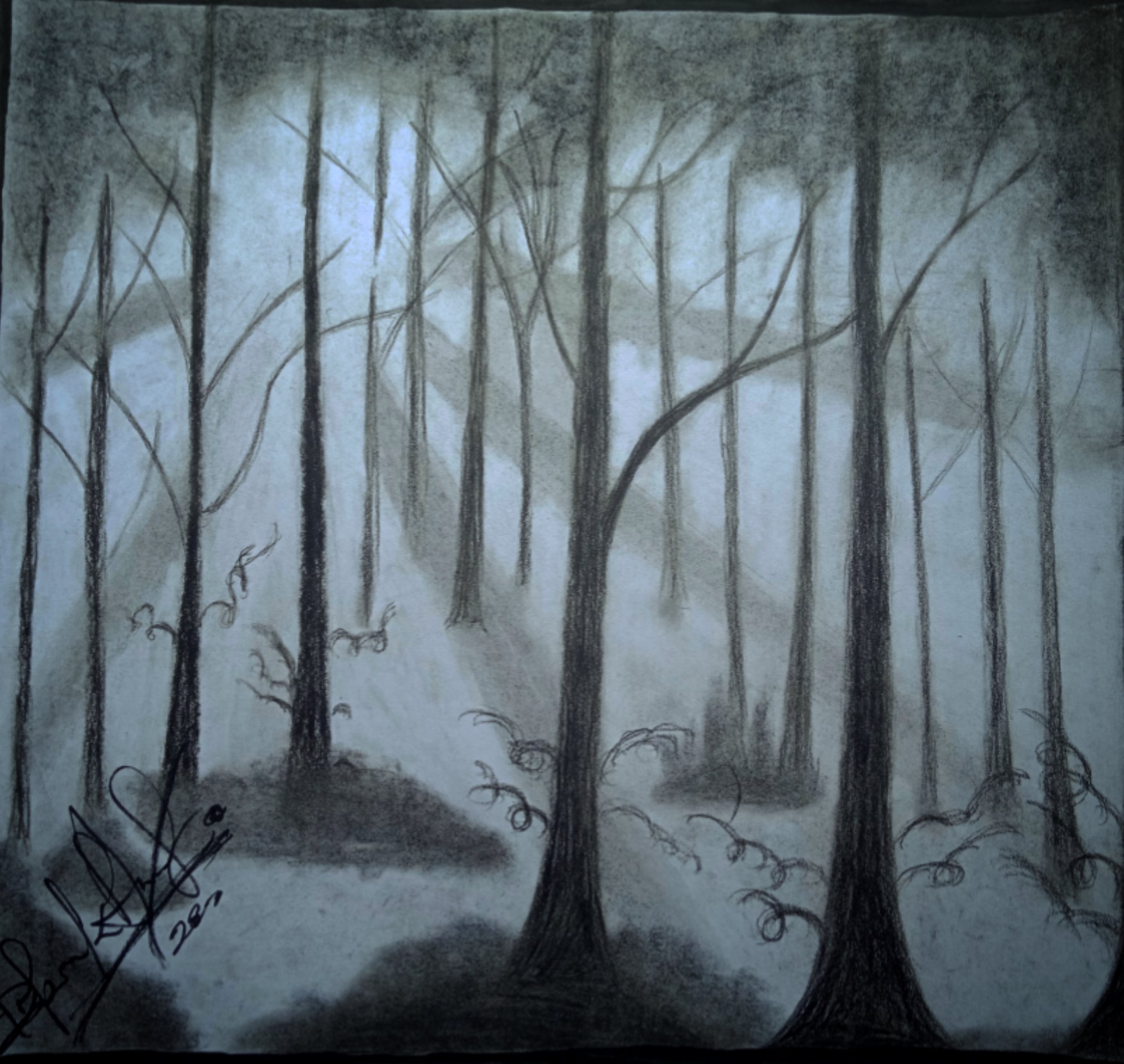 Dark Forest Pencil Drawing