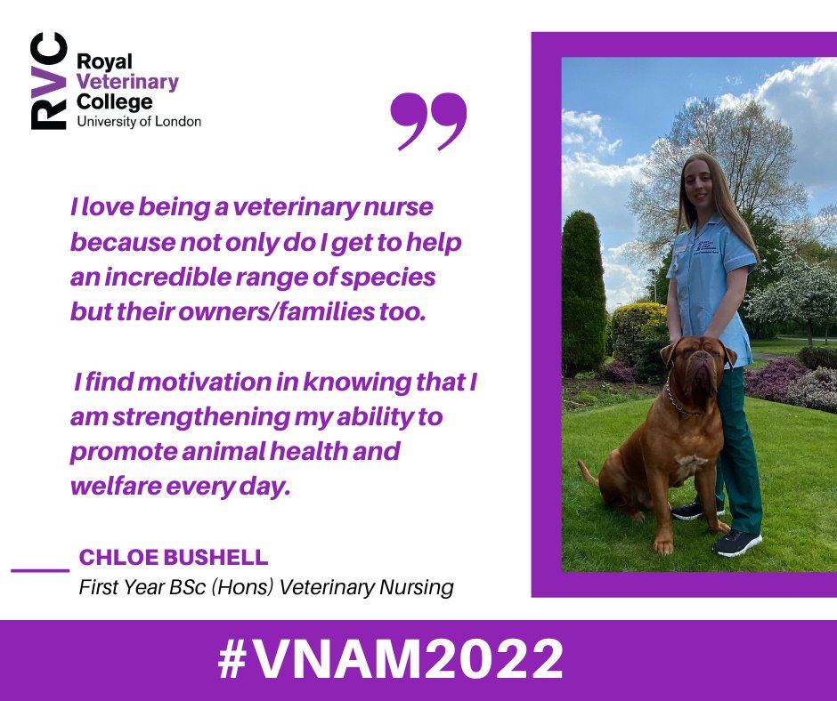 Royal Veterinary College (RVC) on Twitter: "🧡 Chloe Bushell, First Year BSc Veterinary Nursing ...
