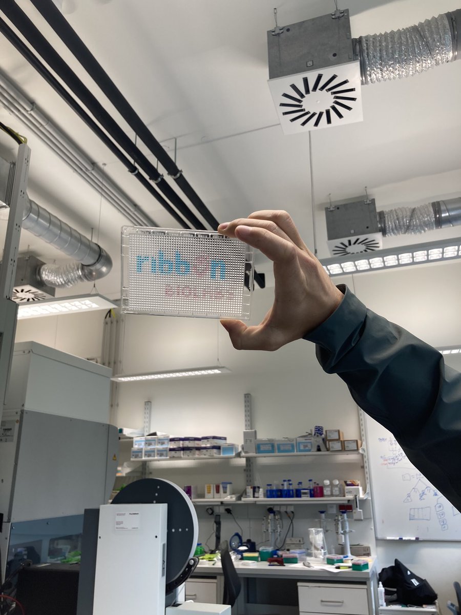 Synthetic DNA - Ribbon Biolabs