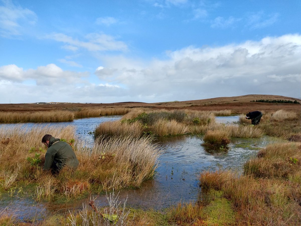 Thread by @2102840LM on Thread Reader App – Thread Reader App