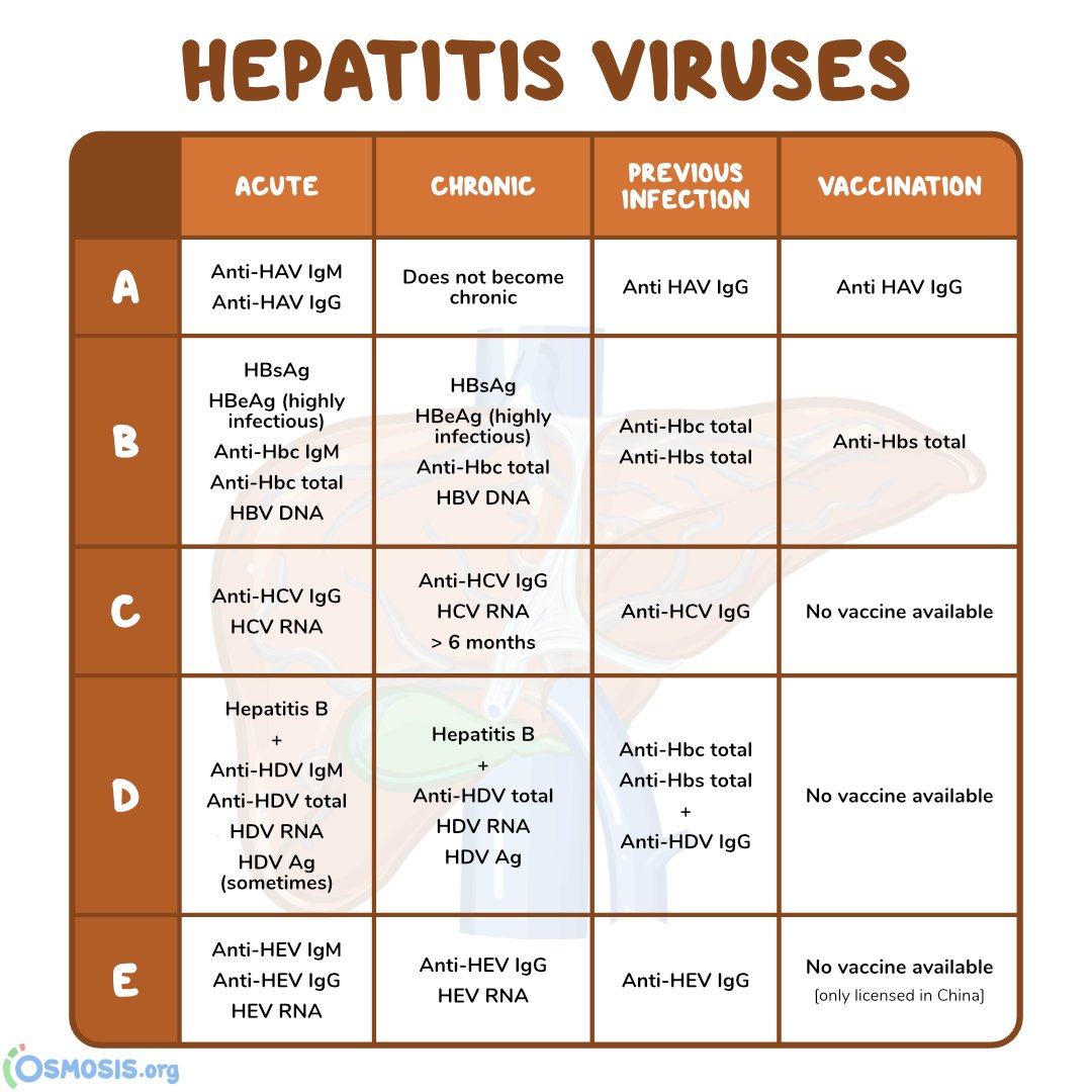 Hepatitis Virus Table Hepatitis Virus Table