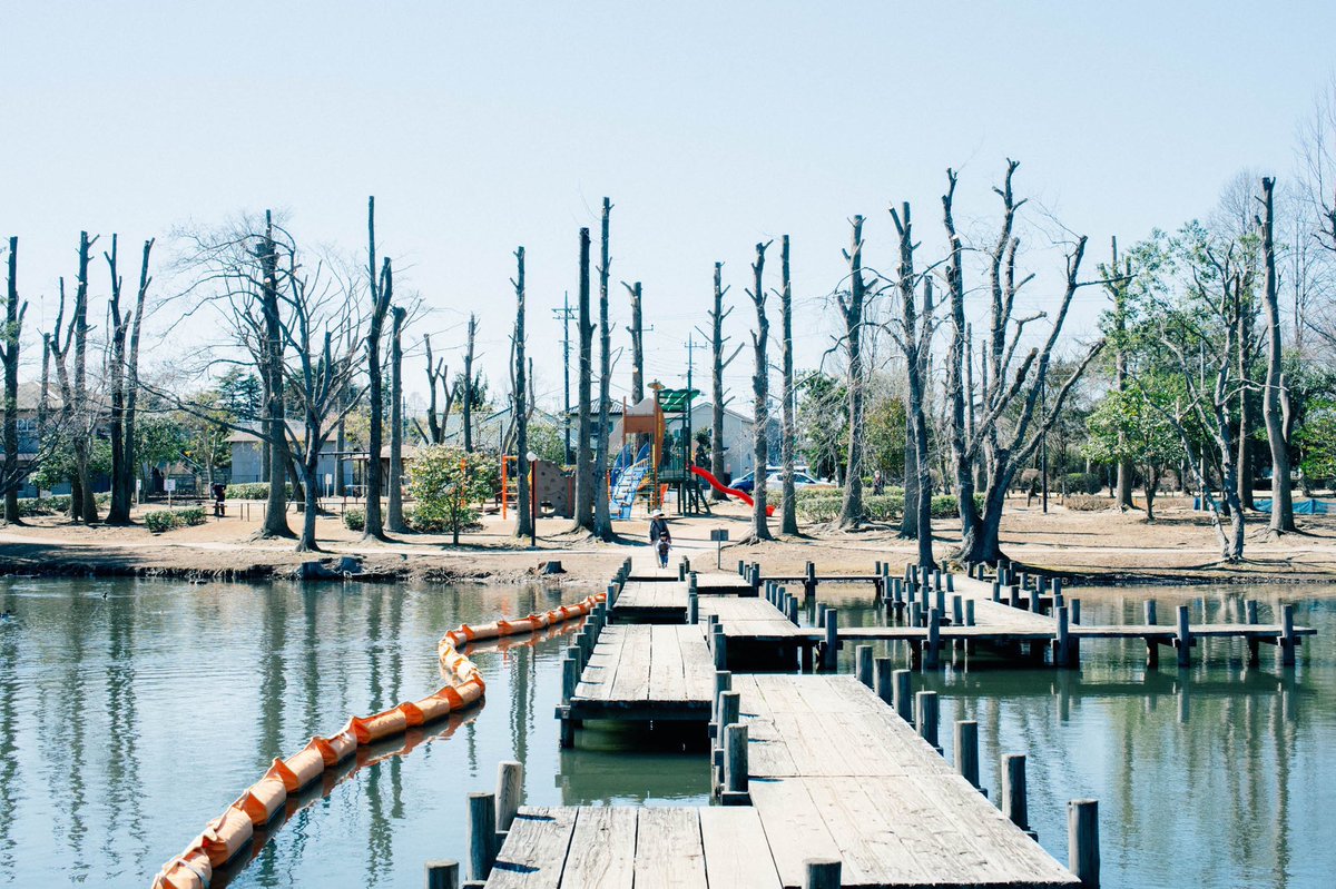 Ken Tanahashiさんの人気ツイート（新しい順） - ついふぁん！