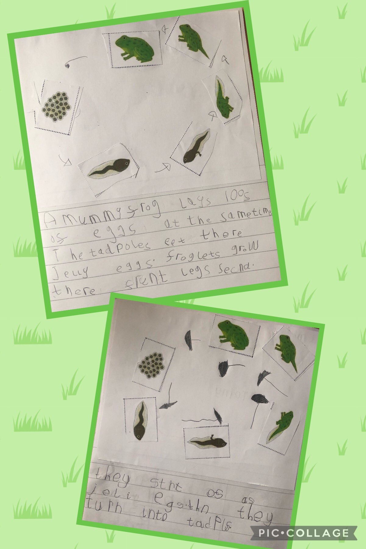 EYFS with Miss S on Twitter: "Look at this amazing writing about the ...