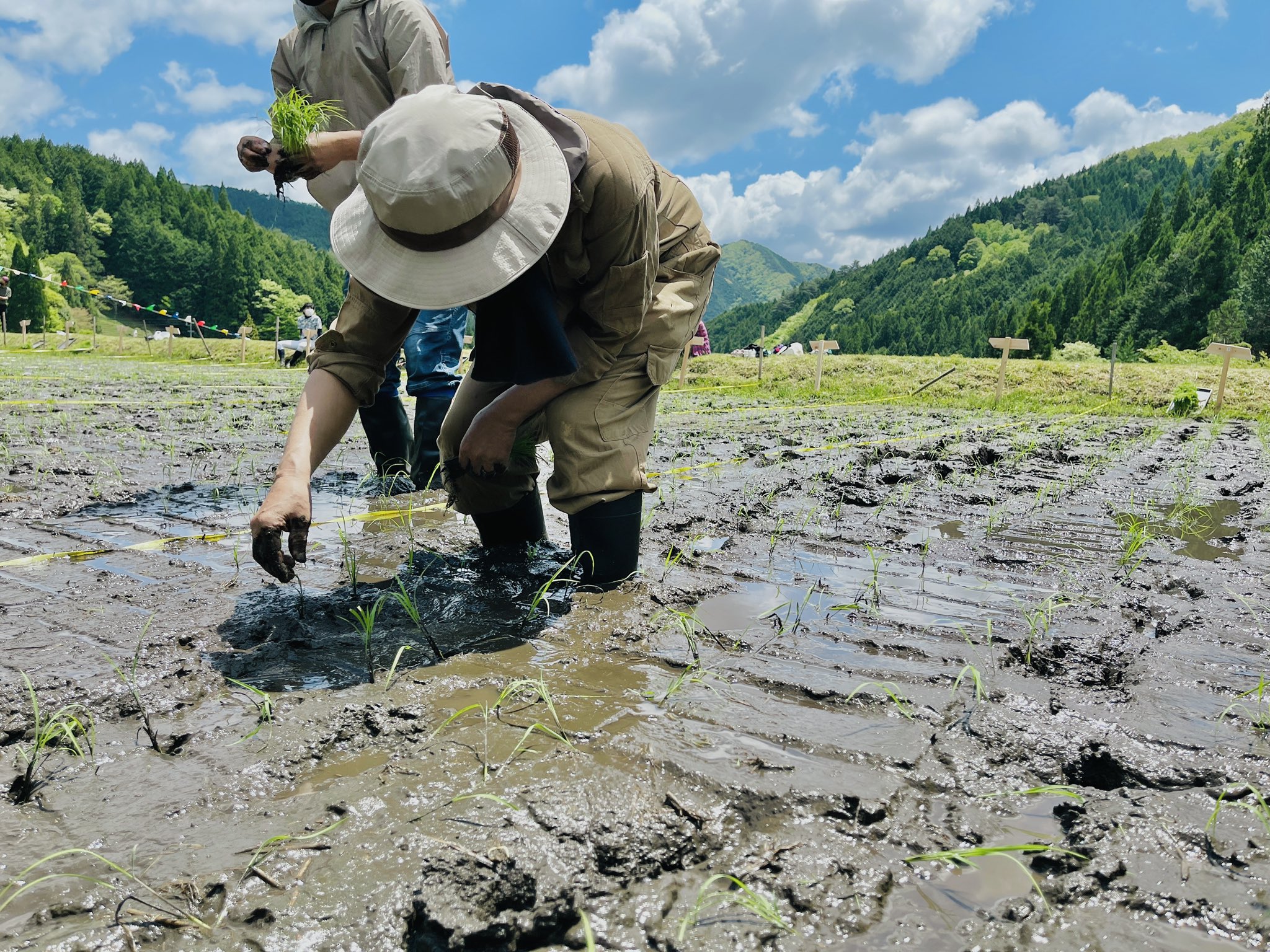 Chagestaff.jp on Twitter: "ずっとアフタヌーンです。 朝にChageさんがつぶやかれていた答えはこちらでした！！ 正解した方はいらっしゃいましたでしょうか？ 今年の秋 ...
