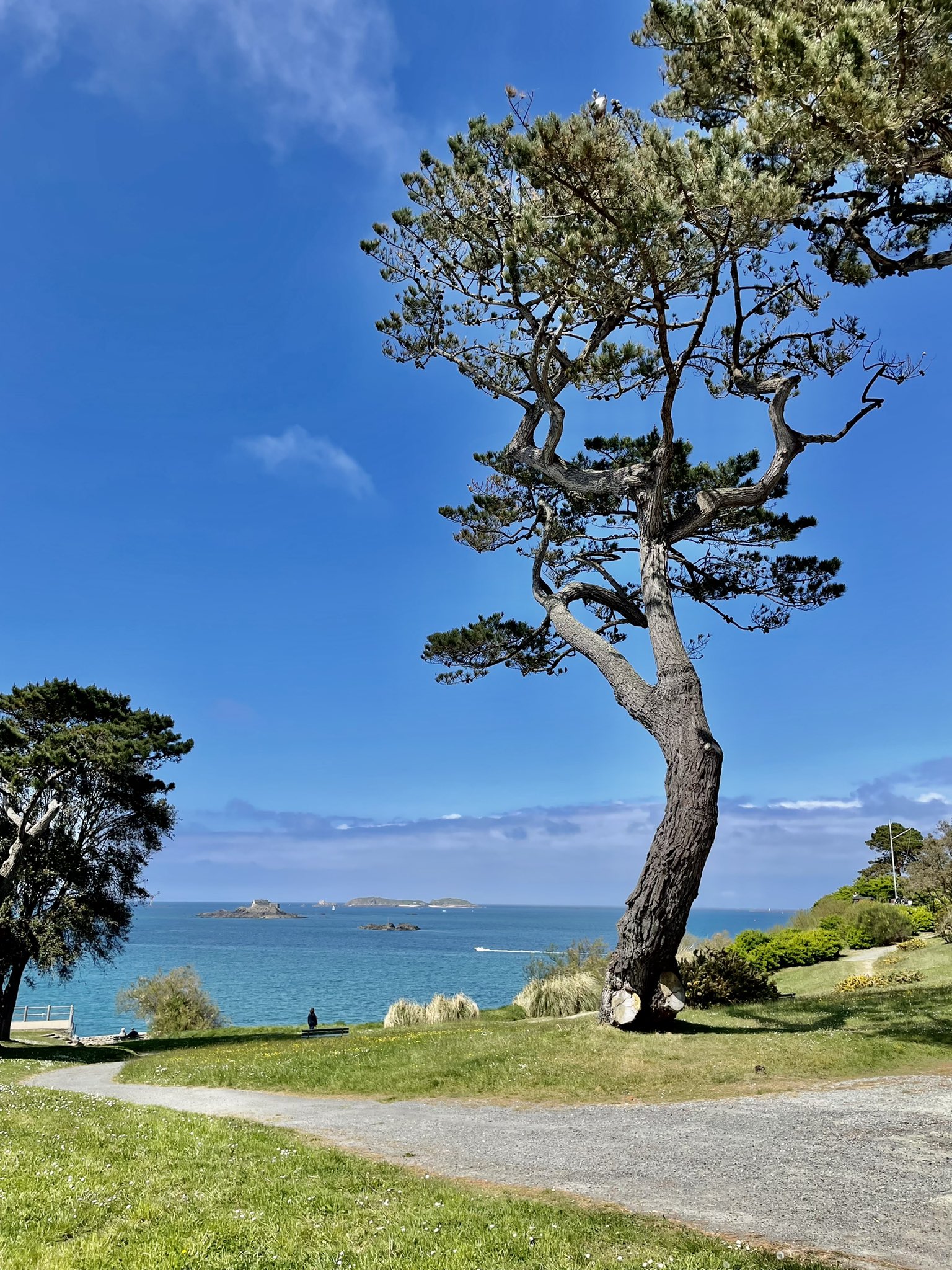 Florent Derue on Twitter: "📍🌊 Côte d’Émeraude, Dinard https://t.co/elOb6aDCcM" / Twitter