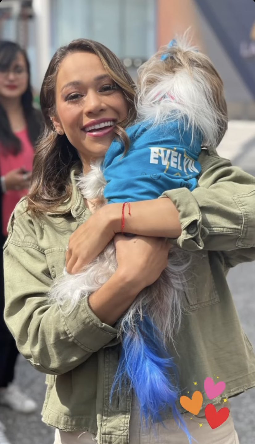 Team Sharkys (@TeamSharkys) / Twitter