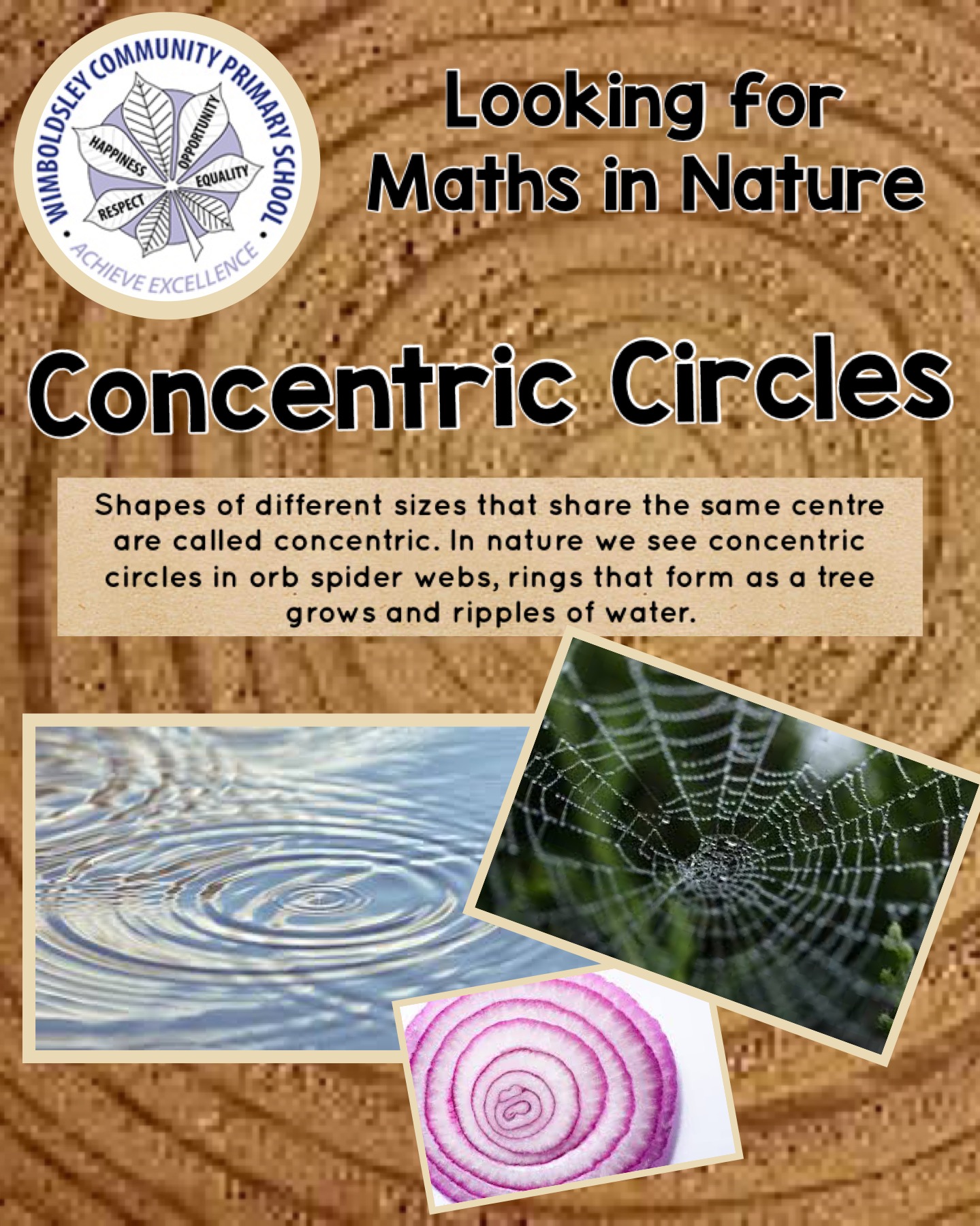 Examples Of Circles In Nature