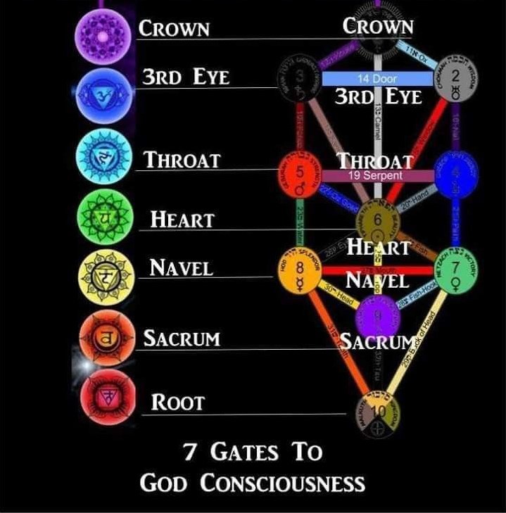 The Seven Gates of Dreaming thREAD 🧵 In Toltec Culture, Shamans were ...