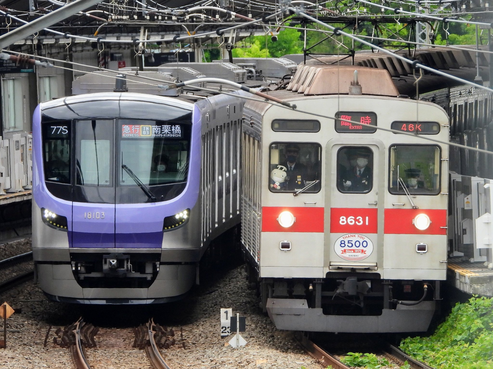 HanHaruFun on Twitter: "8500系8631編成 貸切列車×18000系急行。田園都市線藤が丘駅にて https://t.co/FekJhfOfhD" / Twitter