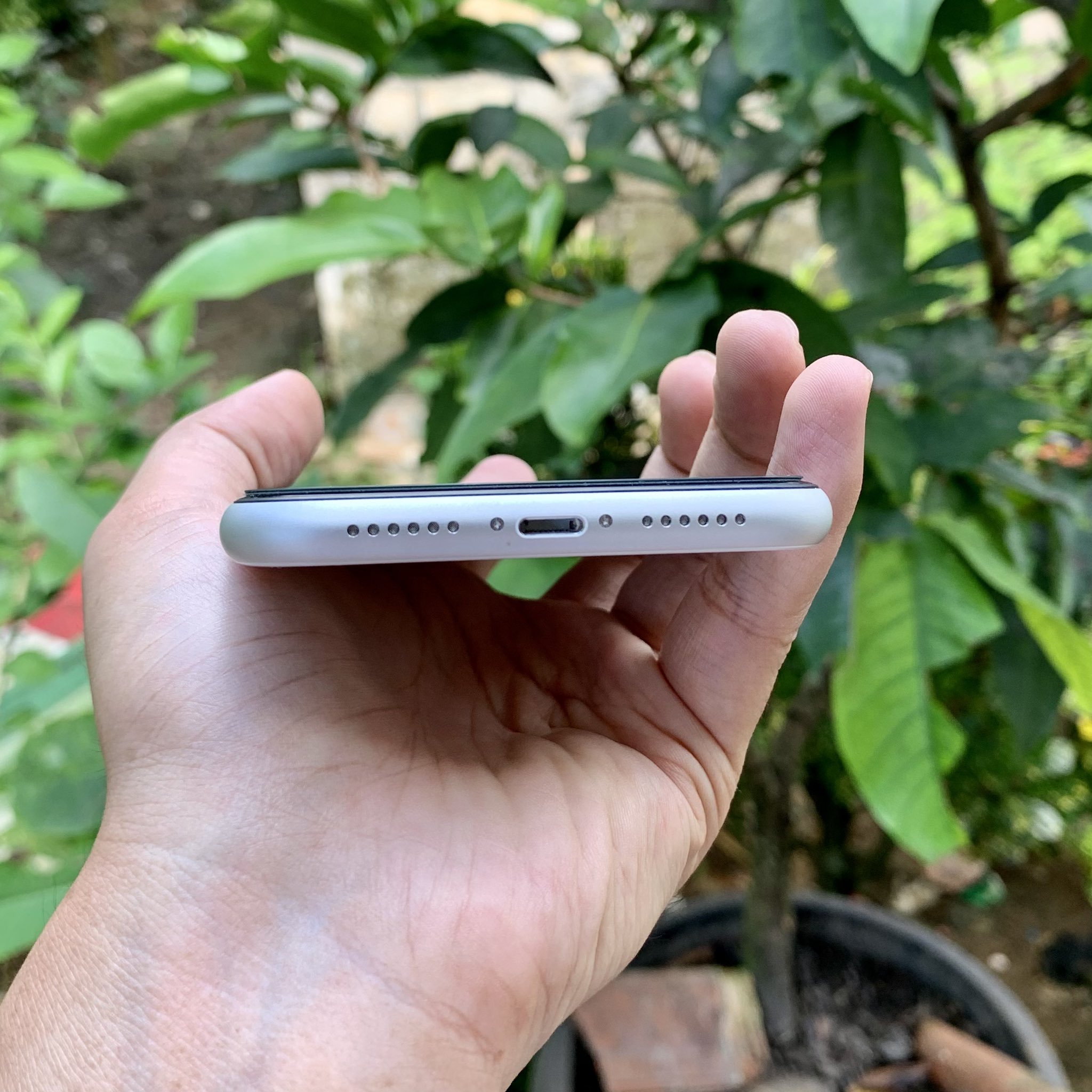 Jual iPhone Second Garansi Resmi iBox Digimap dll on Twitter: "Detail foto. https://t.co ...