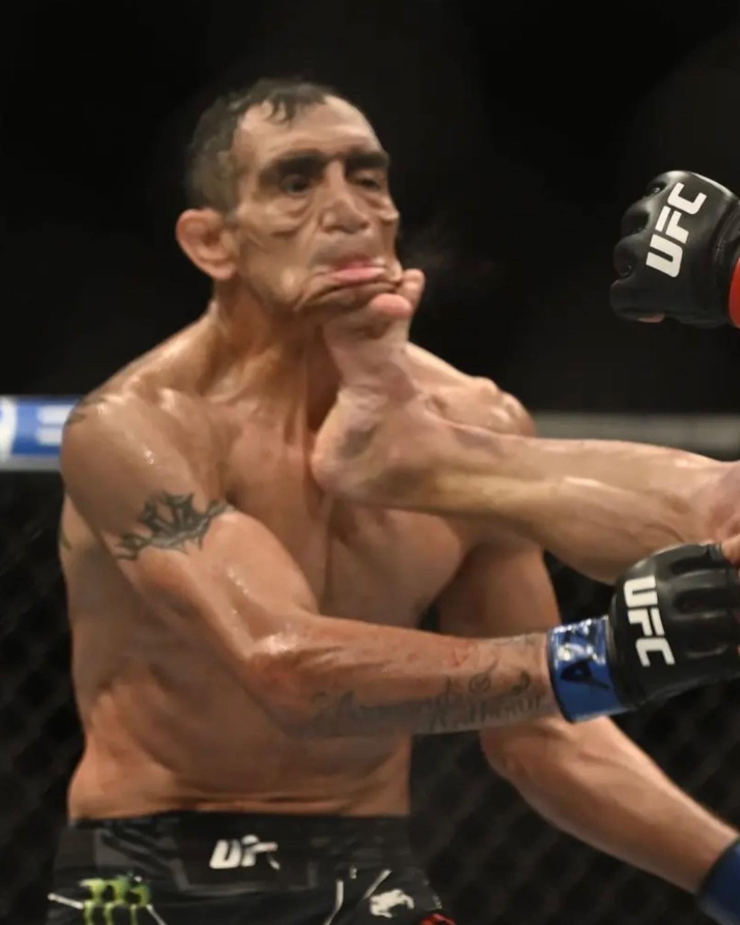 Kick To The Face Knockout