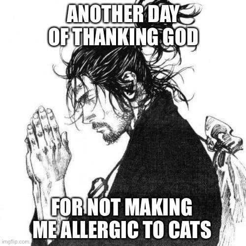 「Me after playing with cats 」|Rafa🐙👻🎼🏆の漫画