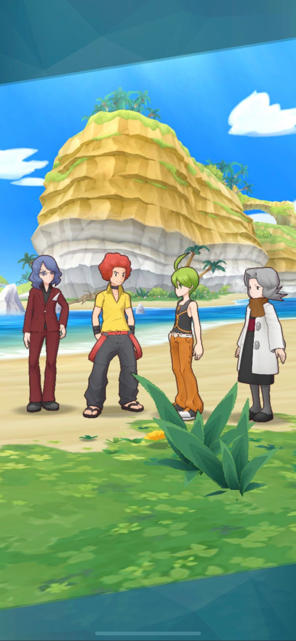 Aaron Pokemon Elite Four