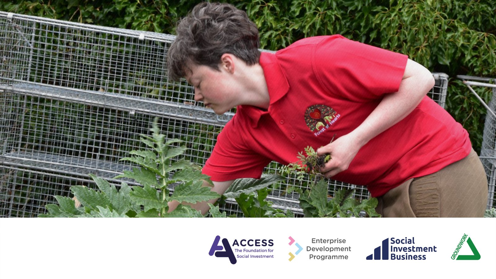 Groundwork UK (@groundworkuk) / Twitter