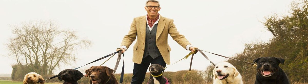 One To One Dog Training - The Dogfather