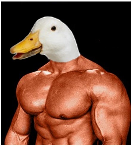 Muscular Duck